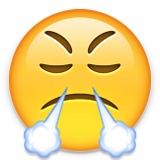 Face With Steam From Nose Emoji 😀😂👌 ️😍